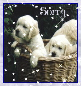 2 cute puppies (in Animated GIFs)