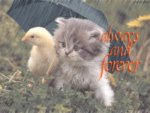 Rainy Day Friends (in Animated GIFs)