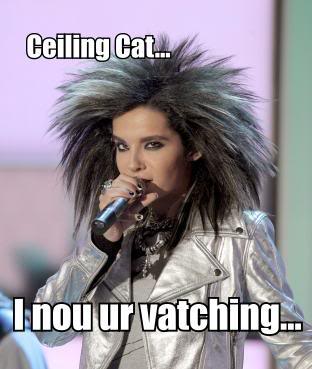 celing cat is watching (in Clipart)